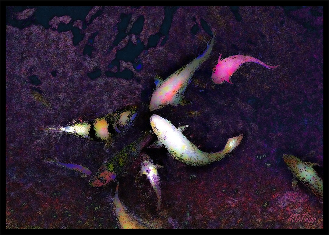 Evening Nibble - Exceptionally Wall Art Beautiful Fine Art Digital ...