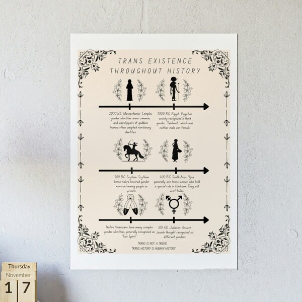 Trans History Poster - Etsy