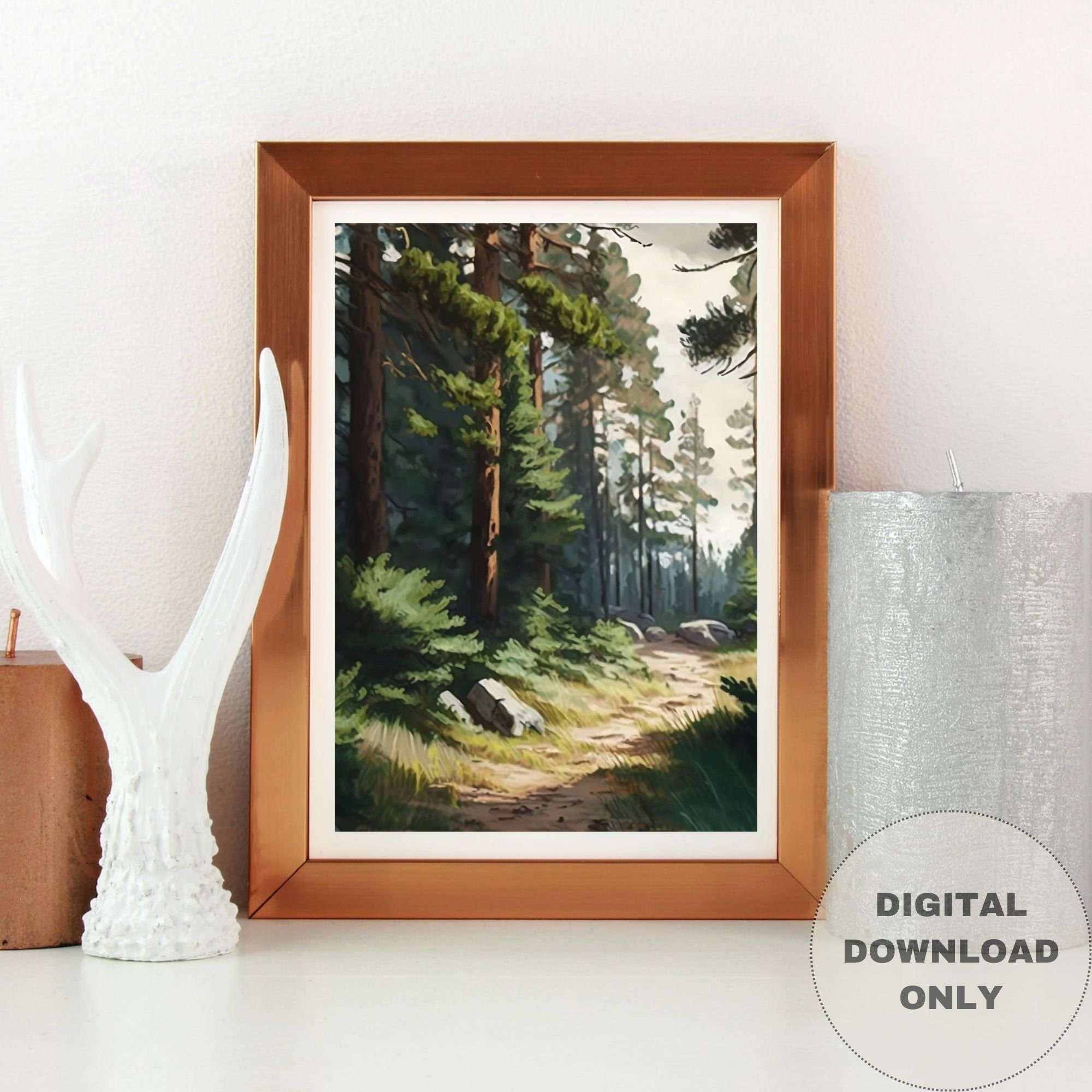 Gentle Pines in the Early Summer Afternoon, Forest-pine-summer ...