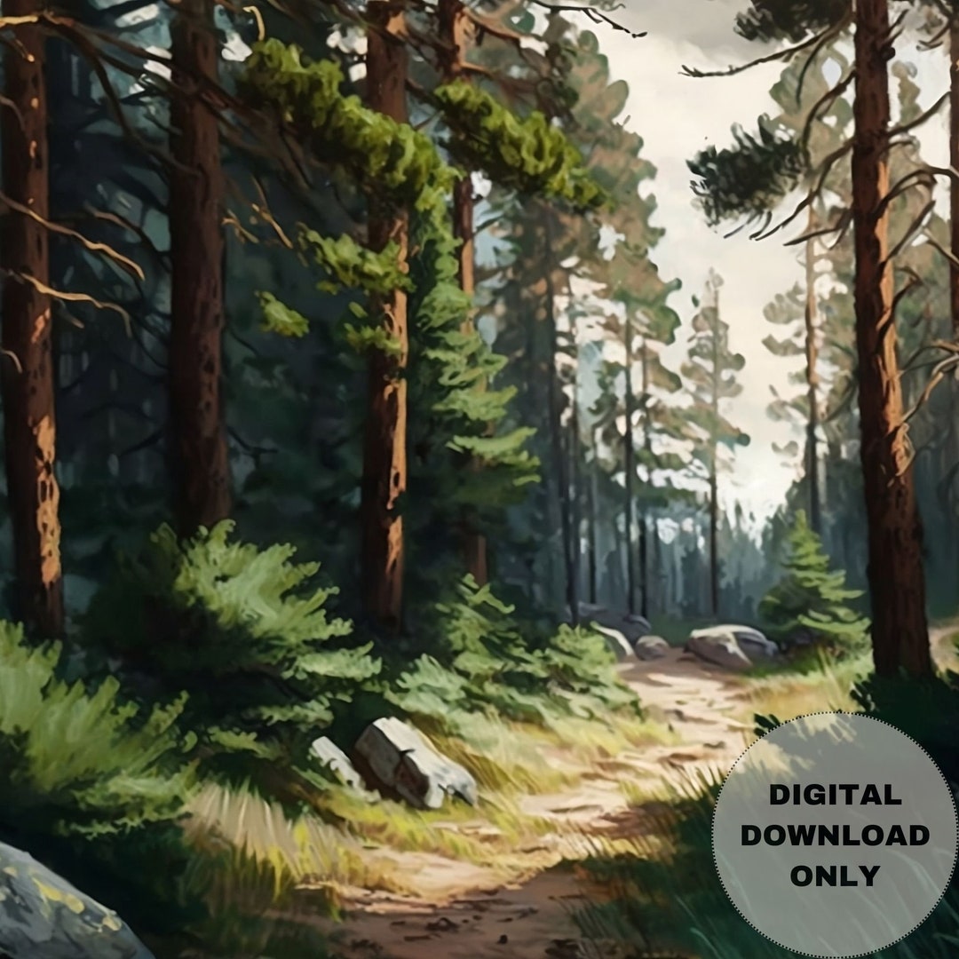 Gentle Pines in the Early Summer Afternoon, Forest-pine-summer ...