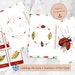 Greek Ladybug Life Cycle Anatomy 3 Part Cards Montessori Learning ...