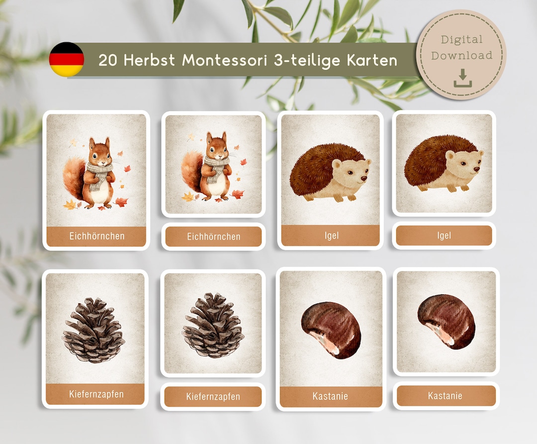 20 Autumn Montessori 3-part Cards Nomenclature Cards. Matching Activity ...