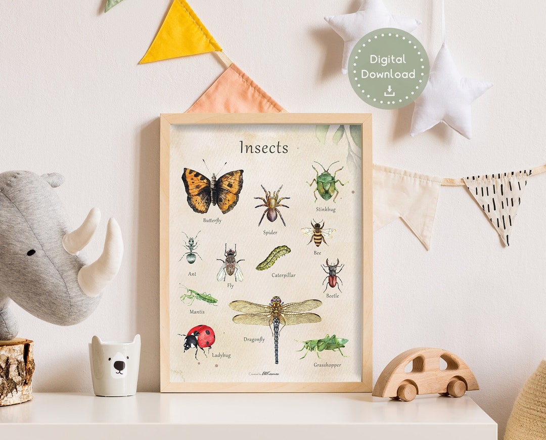 Insects Educational Poster for Children. Bugs Poster Montessori ...