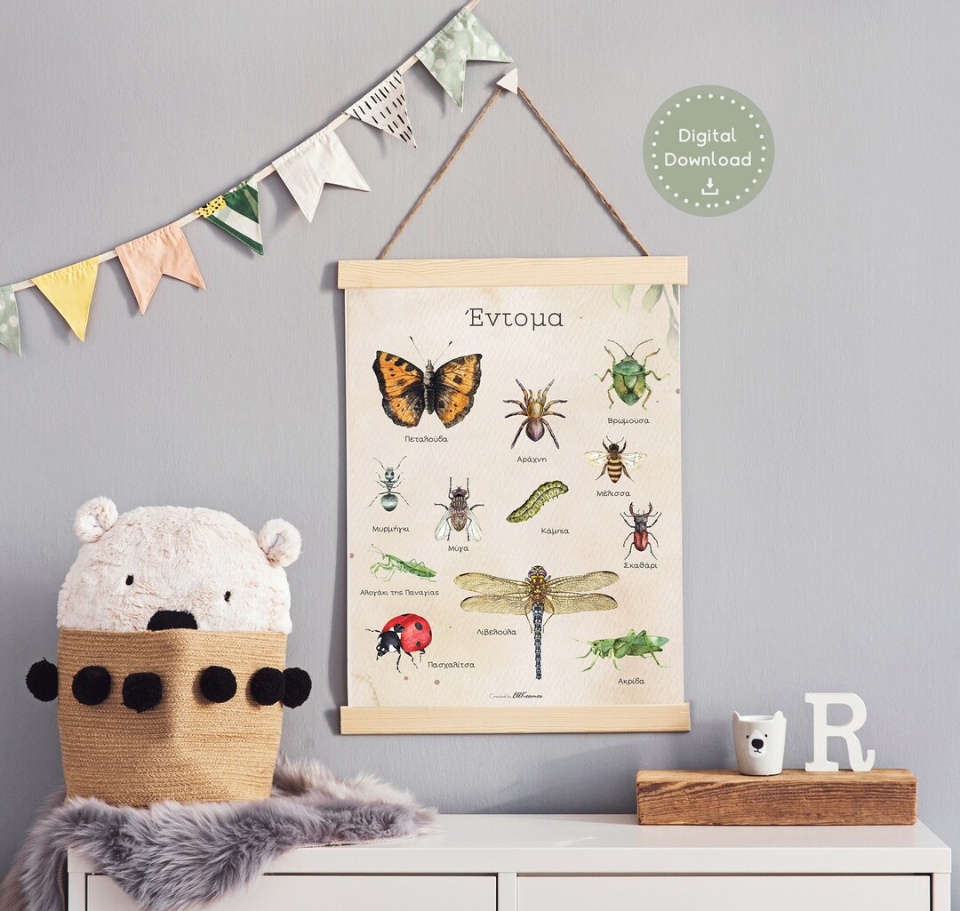 Greek Insects Educational Poster for Children. Bugs Poster Montessori ...