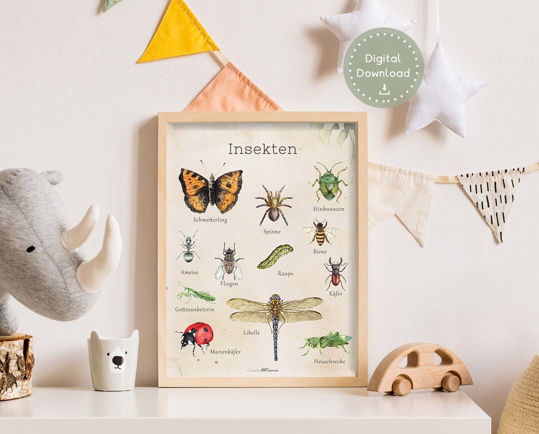 Insects Poster Crawling Animals Children's Educational Poster Children ...