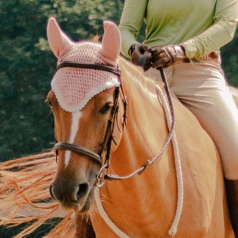 Custom Crochet Fly Bonnet for Horses, Ponies, Mules, Donkeys, Draft ...