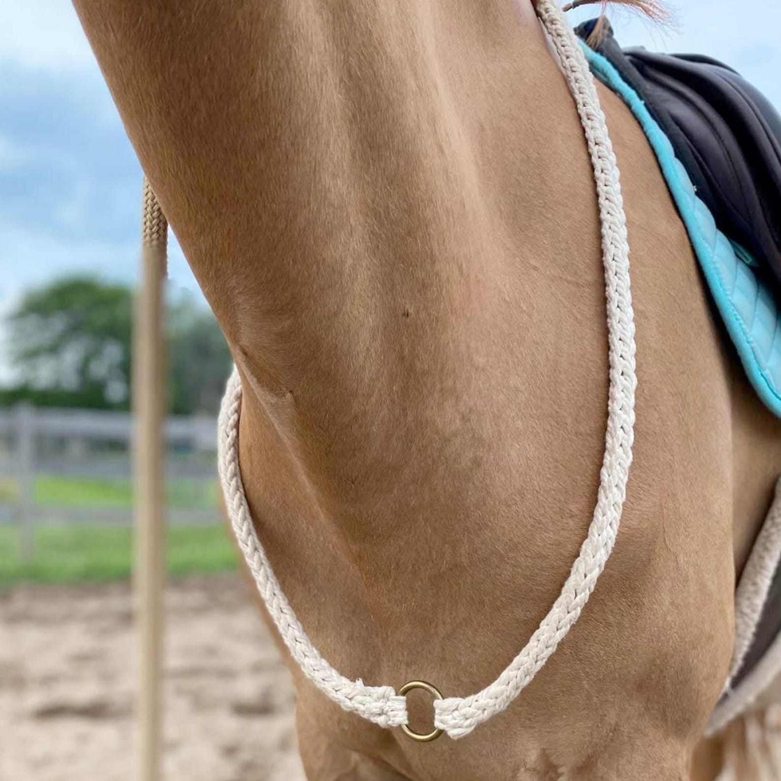 Crocheted Neck Rope for Horses, Liberty, Bridleless Riding, Balance ...