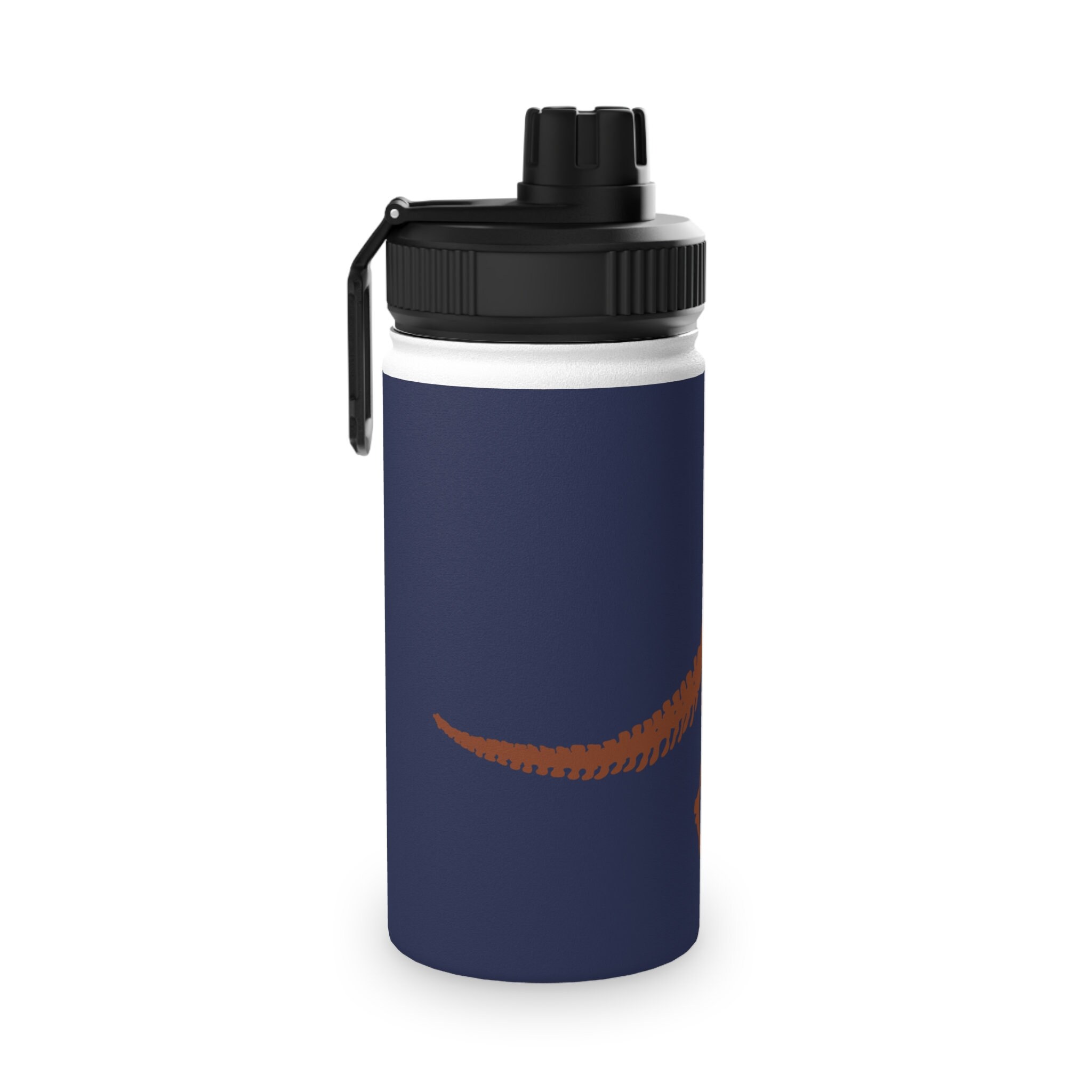 Dinosaur T-rex Water Bottle Navy and Orange Stainless Steel Water ...