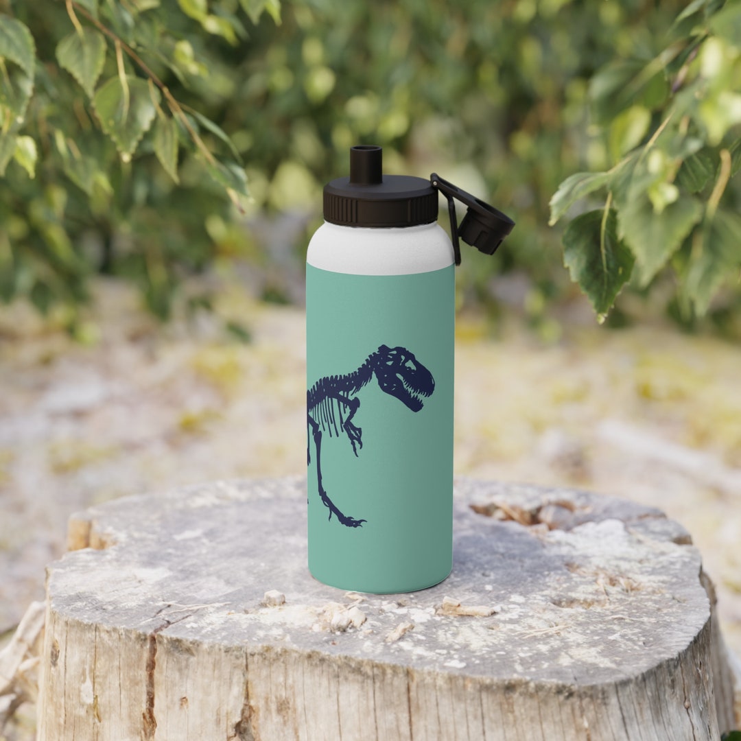 Dinosaur T-rex Water Bottle Mint and Navy Stainless Steel Water Bottle ...