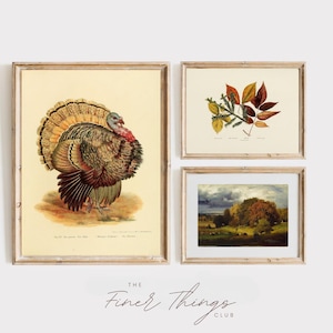 Vintage Fall Turkey and Leaves Digital Art | Rustic Autumn Scene ...