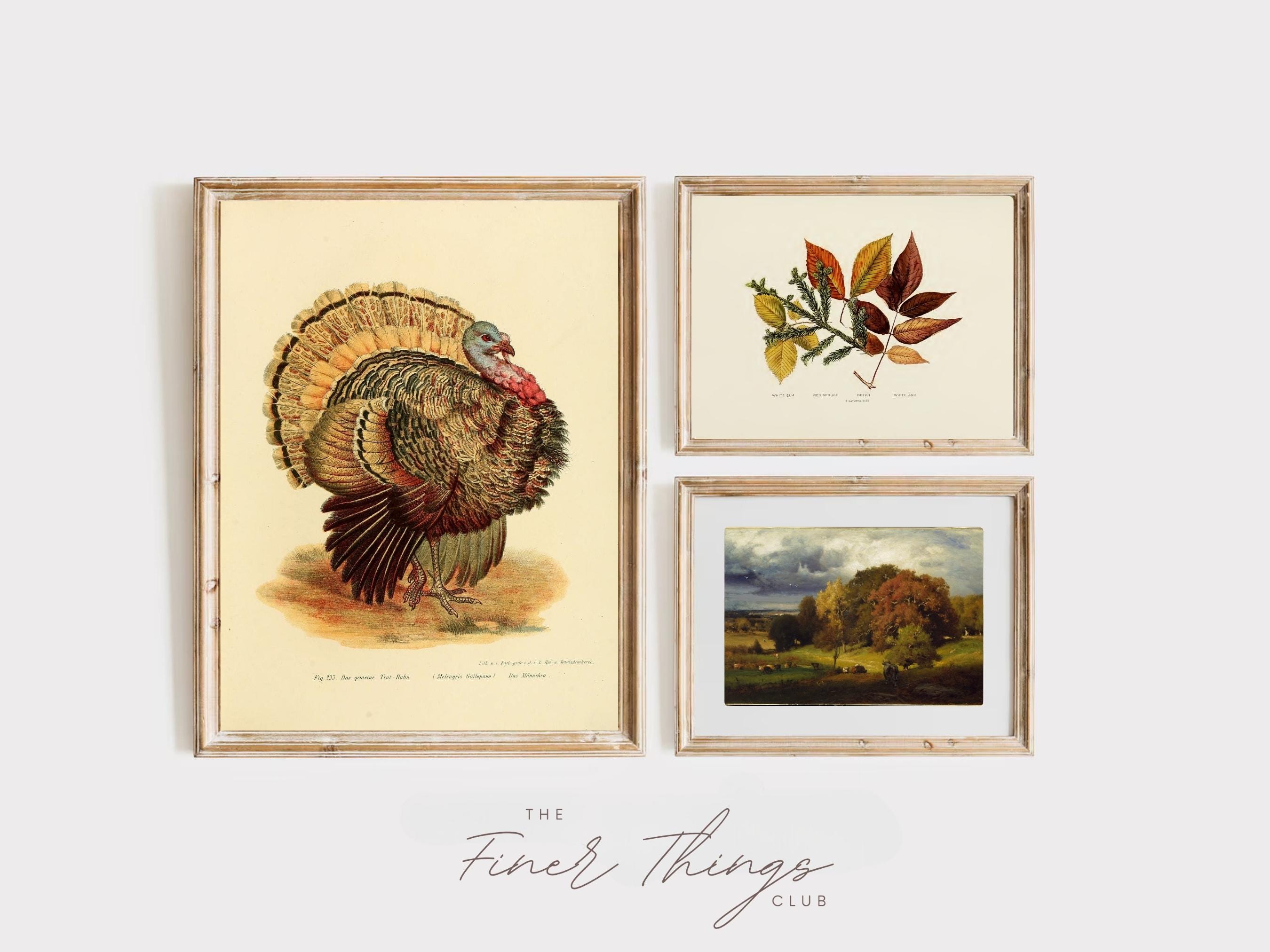 Vintage Fall Turkey and Leaves Digital Art | Rustic Autumn Scene ...