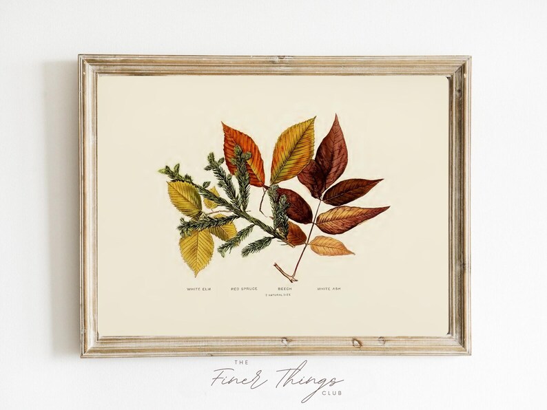 Vintage Fall Turkey and Leaves Digital Art | Rustic Autumn Scene ...