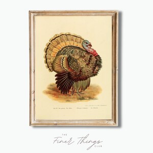 Vintage Fall Turkey and Leaves Digital Art | Rustic Autumn Scene ...