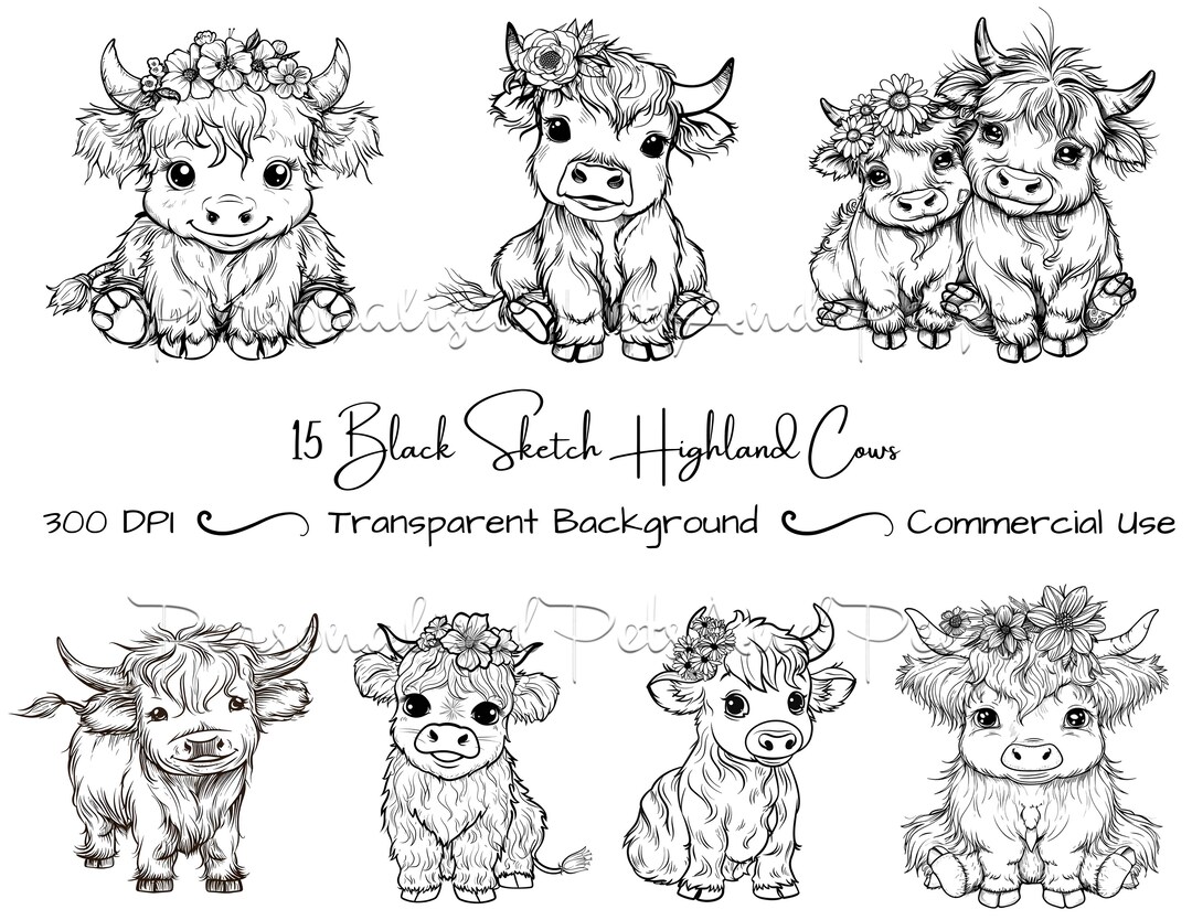15 Cute Highland Cow Clipart Bundle, Baby Cow, Heifer Cow, Black and ...