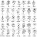 Single Flowers With Names Clipart Set of 45, Flower Sketch, Floral PNG ...