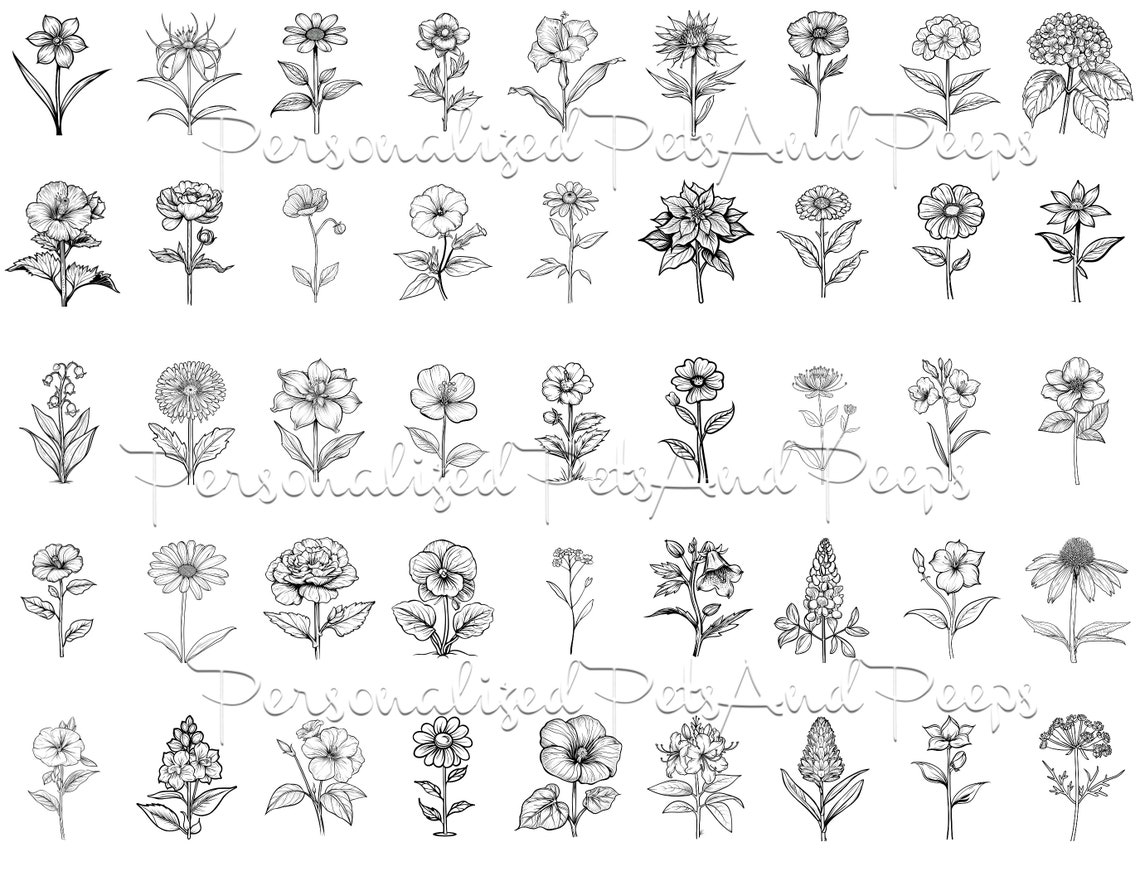 45 Single Flowers With Names Clipart Bundle, Flower Sketch, Floral PNG ...
