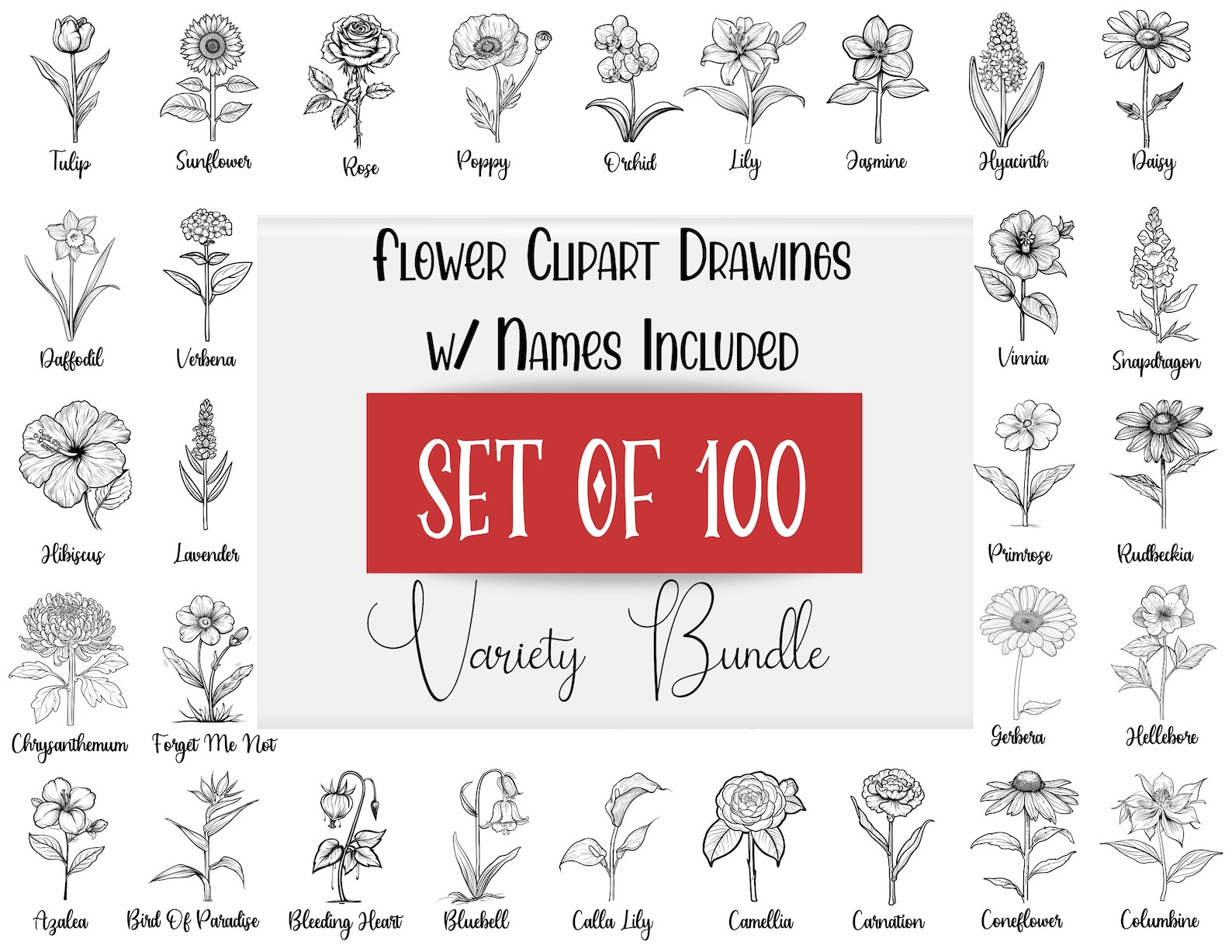 Single Flower Designs With Names Clip Art Set of 100, Flower Sketch ...
