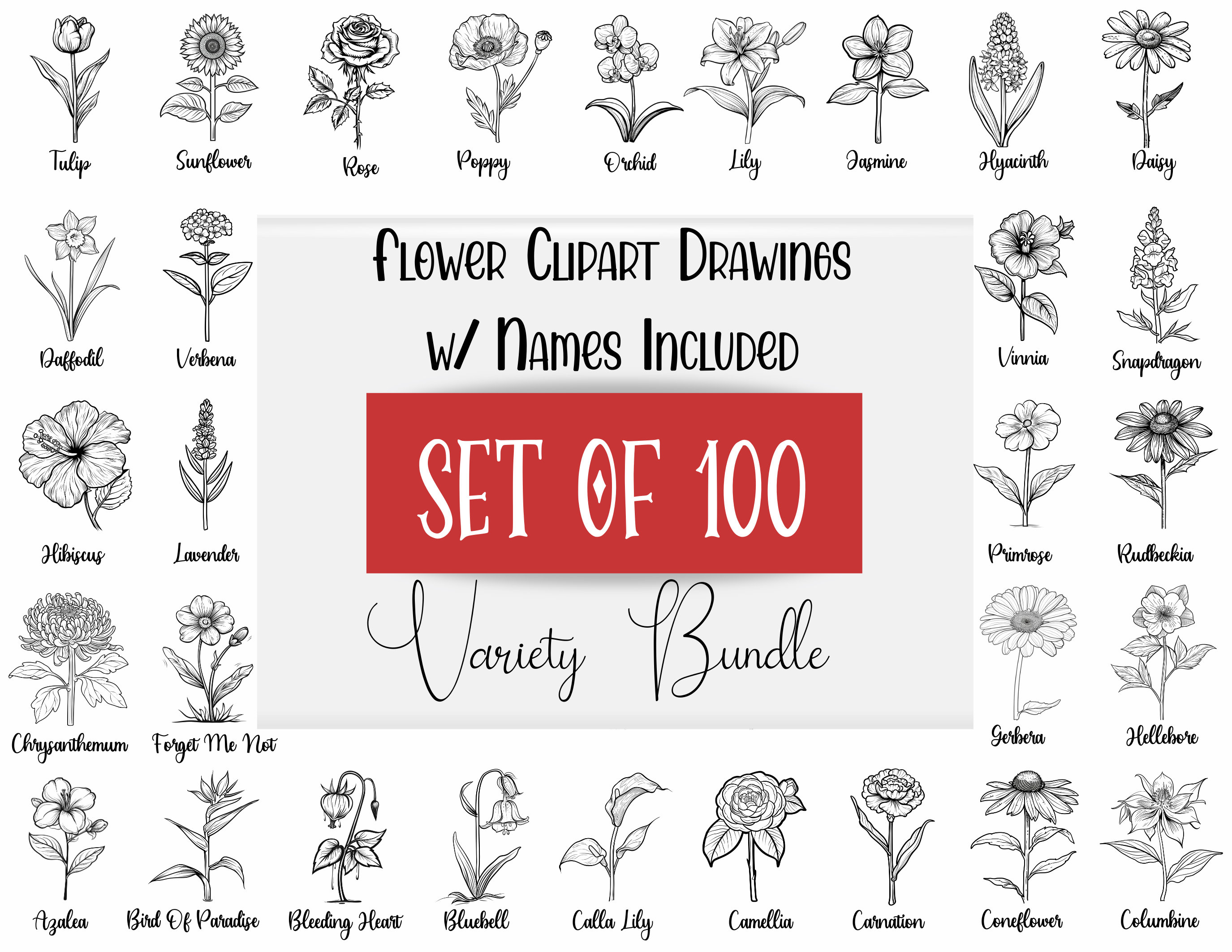 Single Flower Designs With Names Clip Art Set of 100, Flower Sketch ...