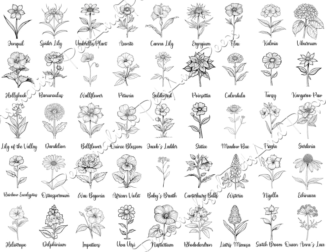 45 Single Flowers With Names Clipart Bundle, Flower Sketch, Floral PNG ...
