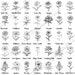 45 Single Flowers With Names Clipart Bundle, Flower Sketch, Floral PNG ...