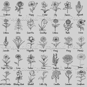Single Flowers With Names Clipart Set of 45, Flower Sketch, Floral PNG ...