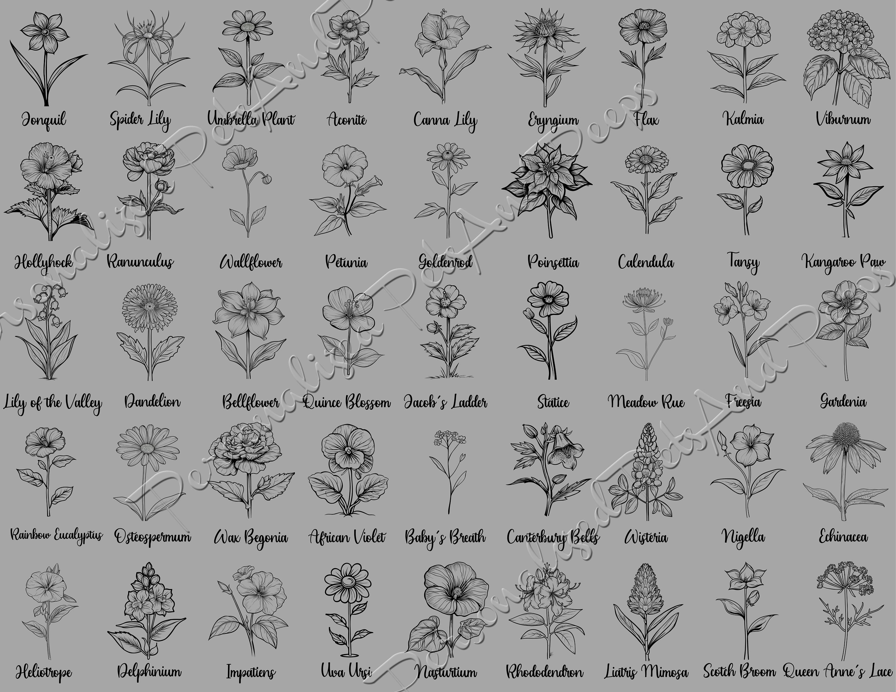 45 Single Flowers With Names Clipart Bundle, Flower Sketch, Floral PNG ...