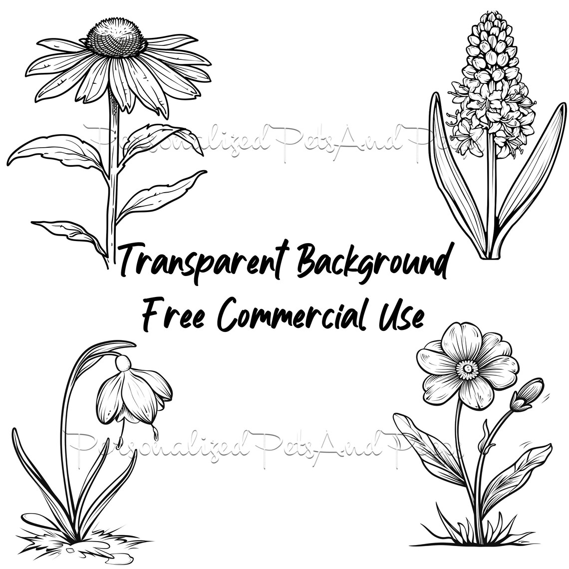 Single Flowers With Names Clipart Set of 45, Flower Sketch, Floral ...