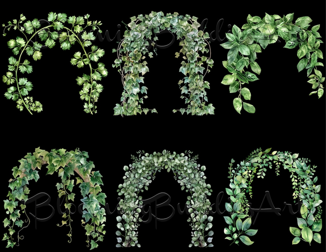 27 Watercolor Arch Green Leaves PNG, Greenery Bundle, Foliage Clipart ...