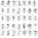 Single Flowers With Names Clipart Set of 45, Flower Sketch, Floral PNG ...
