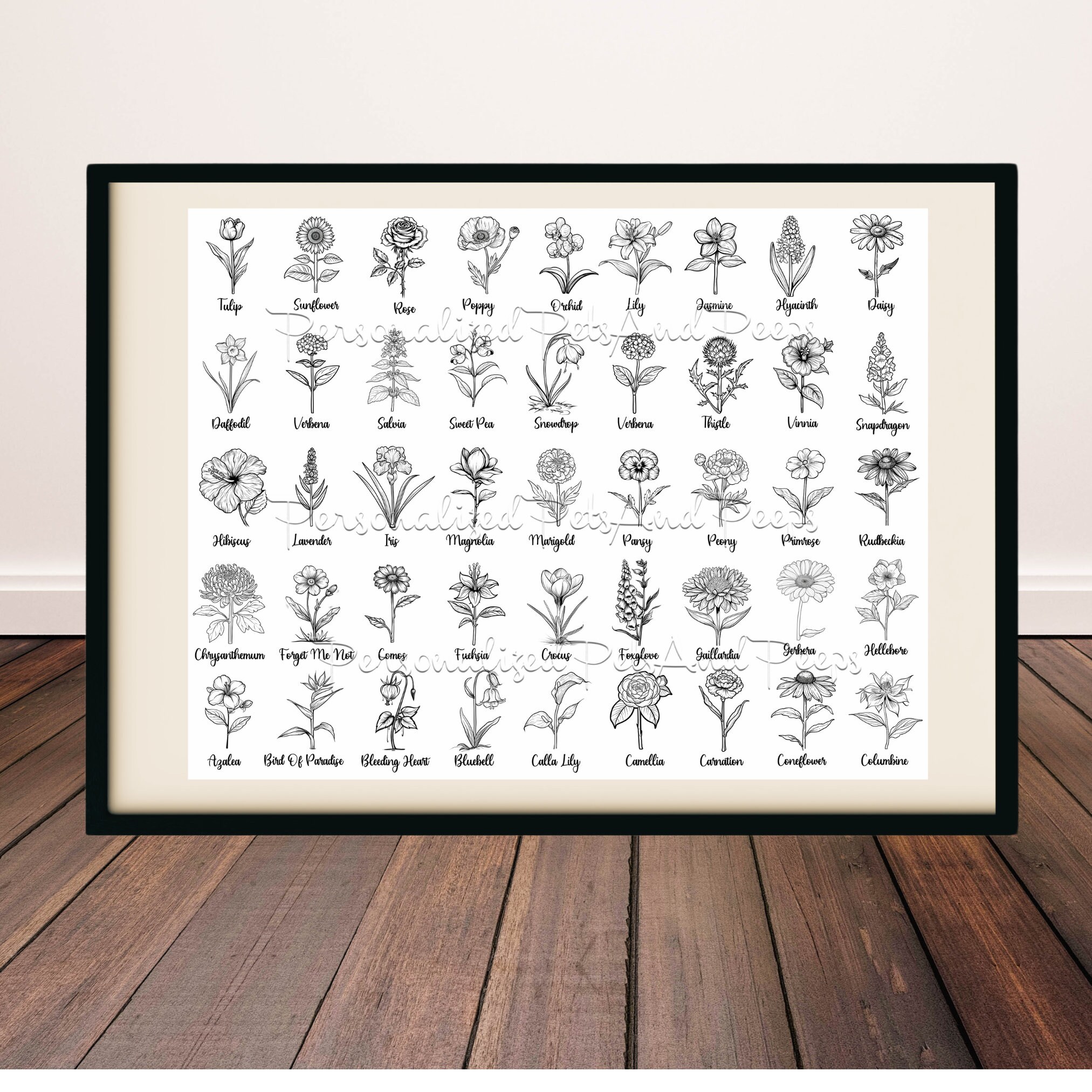 Single Flowers With Names Clipart Set of 45, Flower Sketch, Floral PNG ...