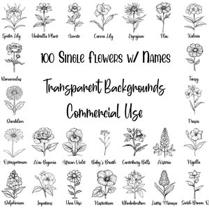 Single Flower Designs With Names Clip Art Set of 100, Flower Sketch ...