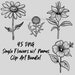 Single Flowers With Names Clipart Set of 45, Flower Sketch, Floral PNG ...