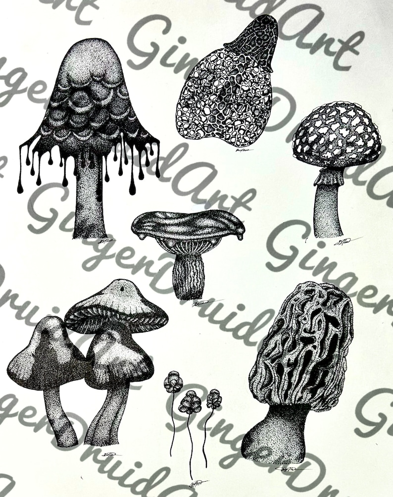 Mushroom Flash, Mushroom Tattoo Flash, Fungi Flash, Fungi Tattoo Flash ...