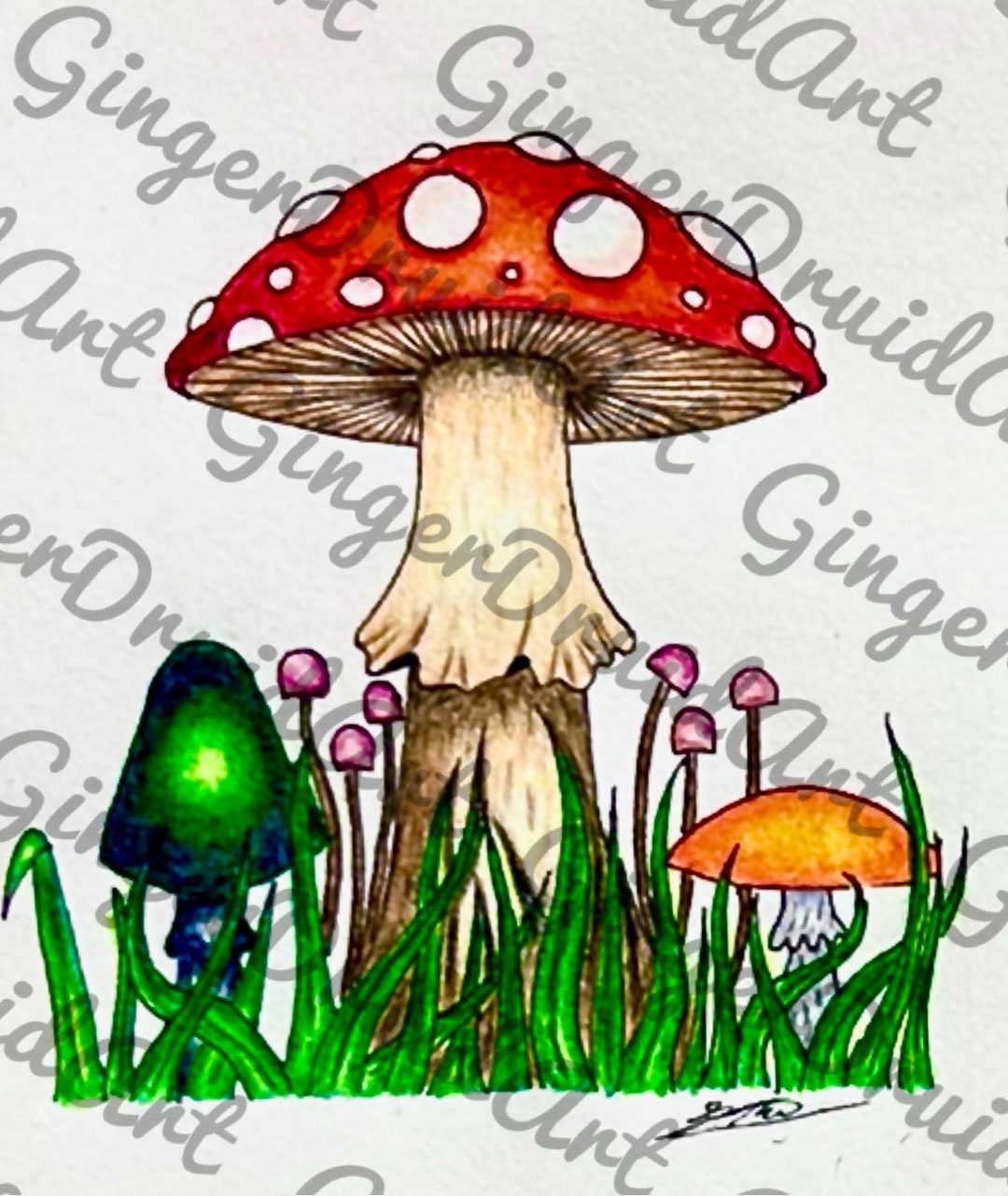 Cute Toadstool, Colorful Toadstool, Toadstool and Fungi, Toadstool ...