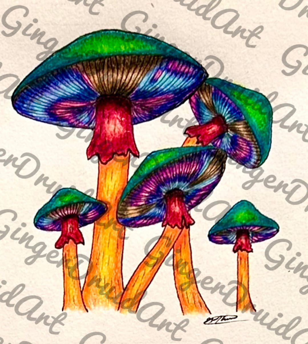 Colorful Fungi, Bold Colors, Mushrooms, Digital File, Sticker, Clip Art ...