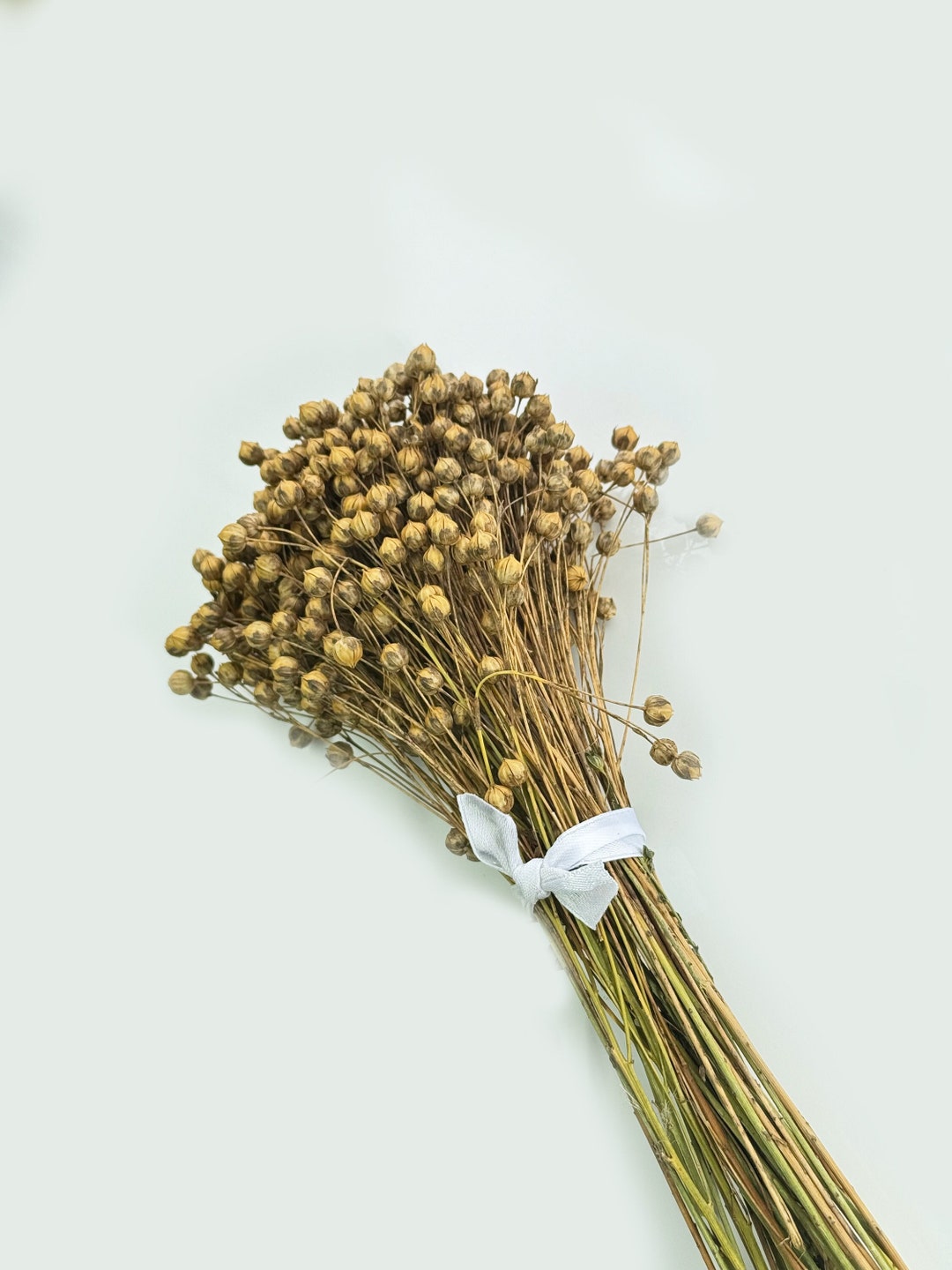 Organic Dried Flax Stems Bunch for Hamsters, Mice, Rats, Gerbils - Handcrafted Forage ...