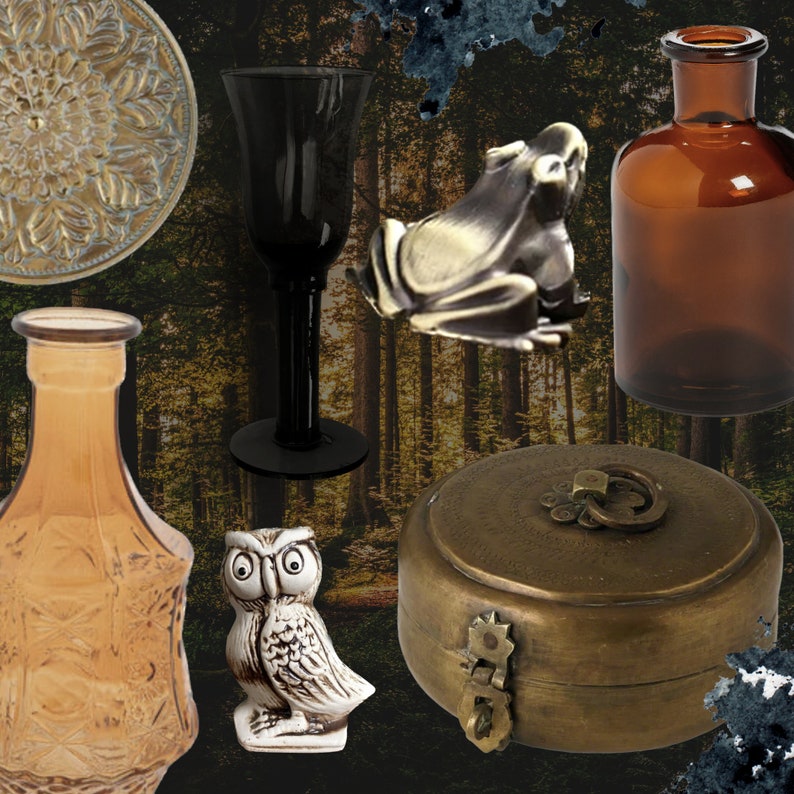 Goblincore Dark Academia Mystery Box Oddities Home Decor - Etsy