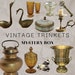 50 Item Dark Academia Curiosity Mystery Box Oddities Decor Goblincore ...