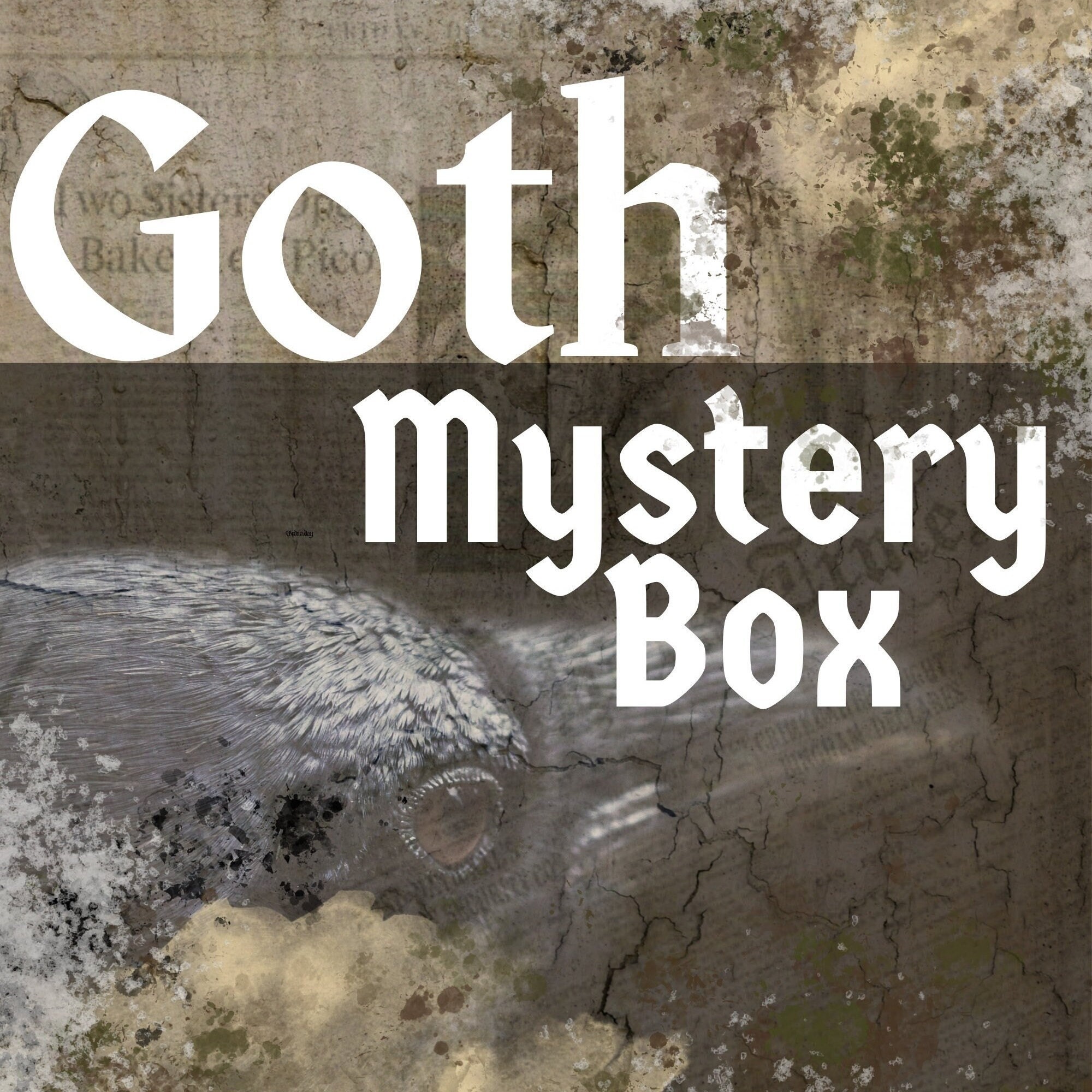 Goth Mystery Box Goblincore Cottagecore - Etsy