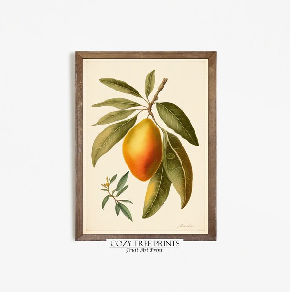 Mango Print - Etsy