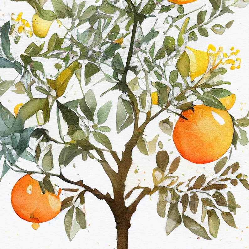 Printable Grapefruit Tree Watercolor, Printable Bird Watercolor, Fruit ...