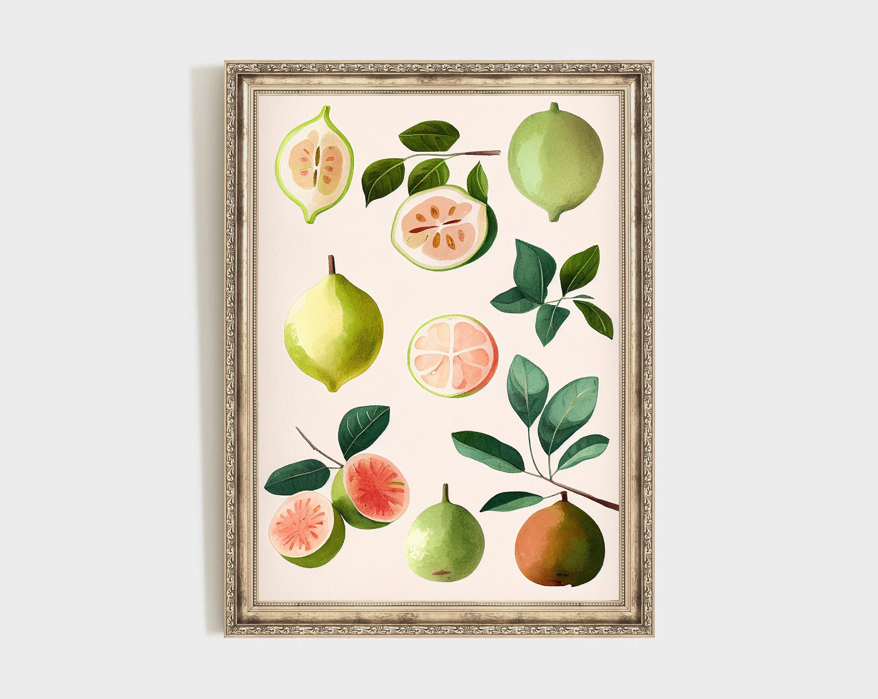 Printable Guava Varieties Watercolor Fruit Art Print Wall - Etsy