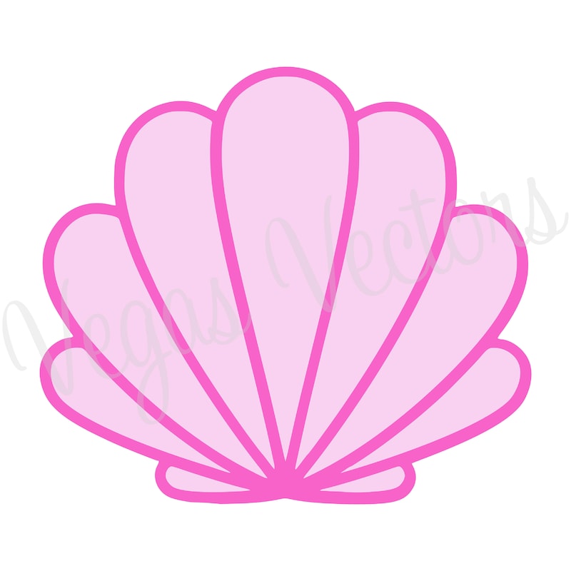 Seashells Svg - Etsy