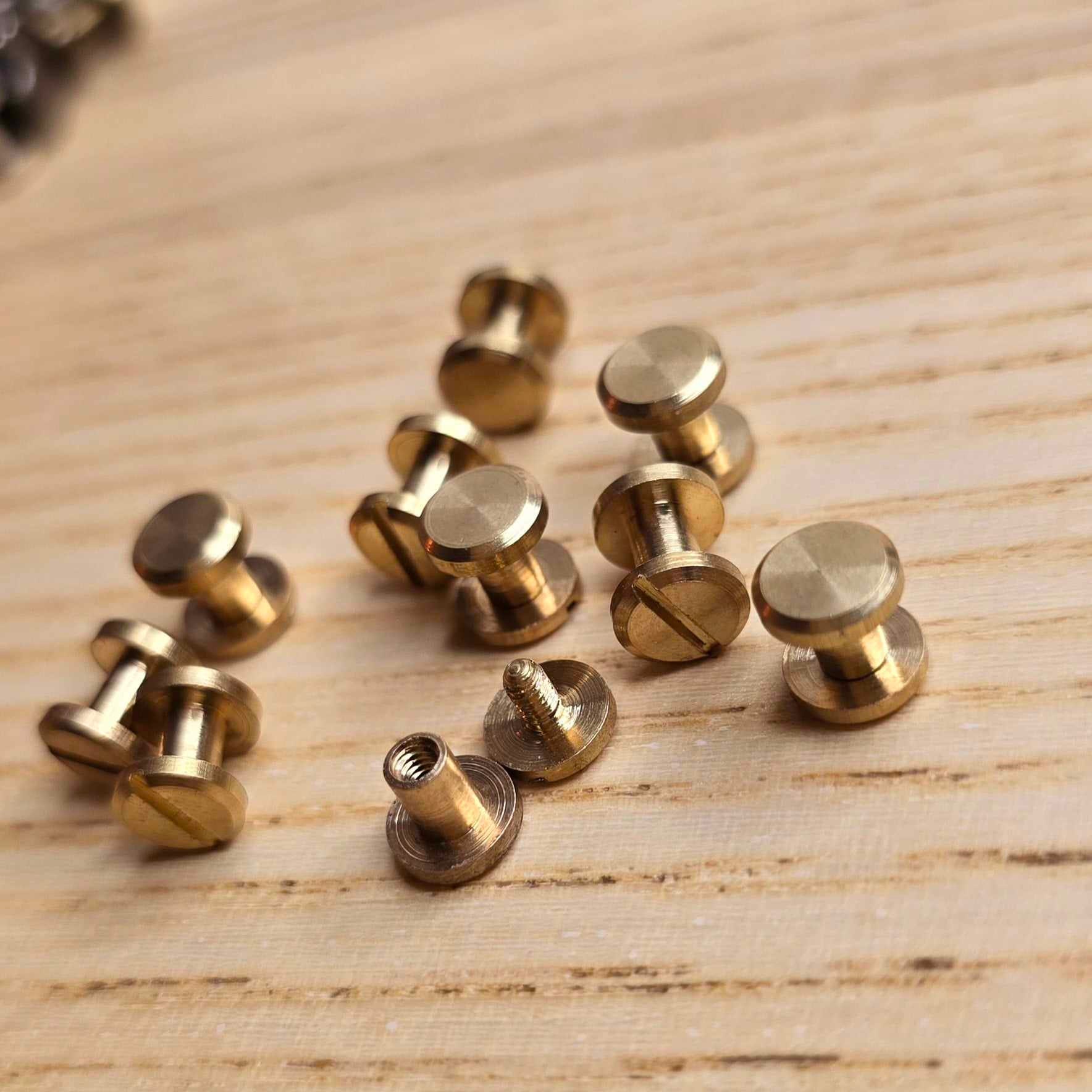 Set of Chicago Screw Rivets for Leather Tags - 6mm, Fasteners for ...