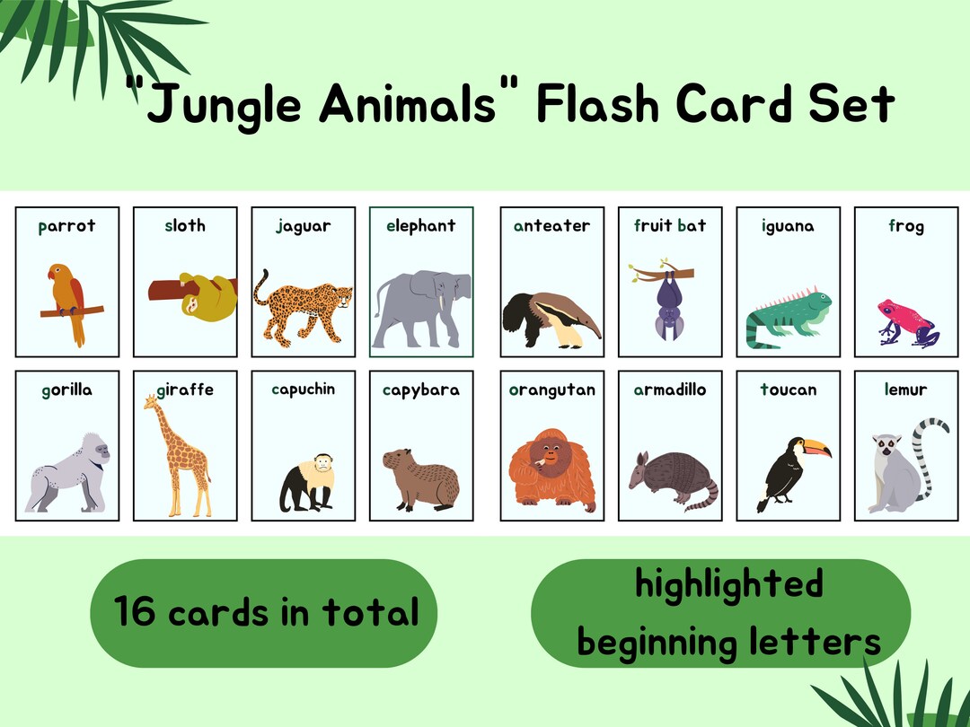 Jungle Animals Flash Card Version One - Etsy