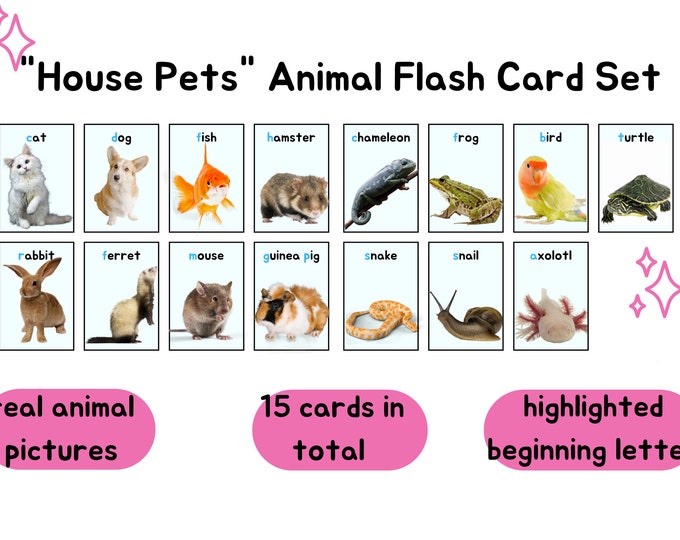 House Pets Flash Card Set Version Two - Etsy