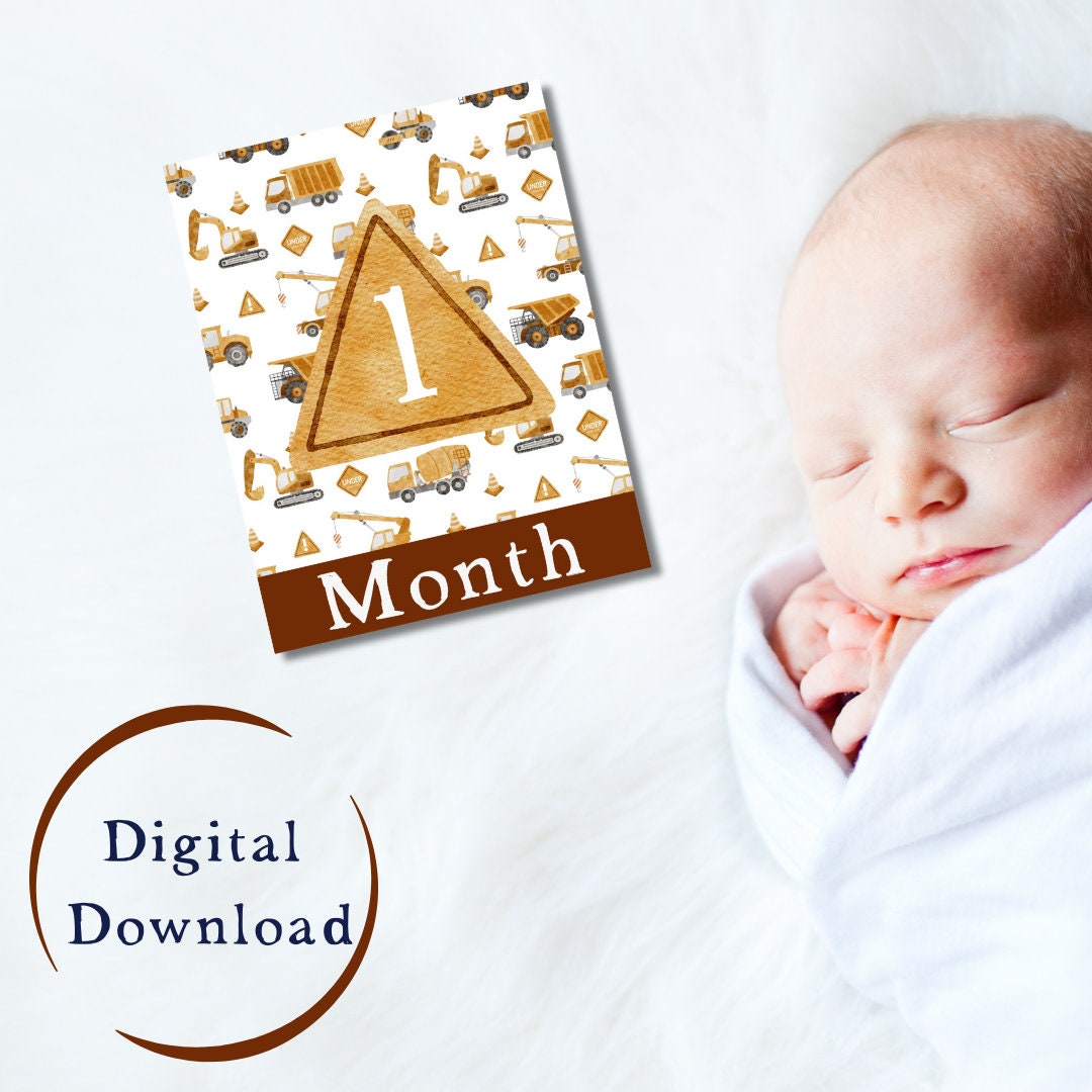 Baby Monthly Milestone, Digital Download, Printable Baby Milestone ...