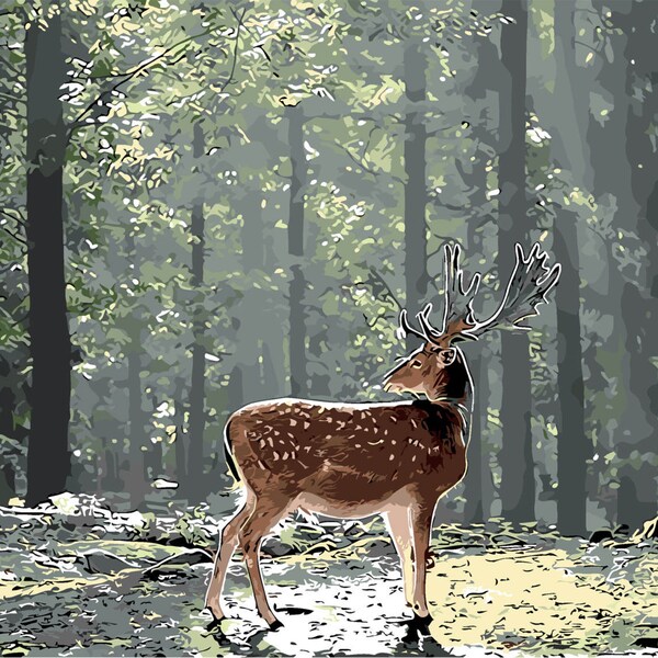Paint by Number Deer - Etsy
