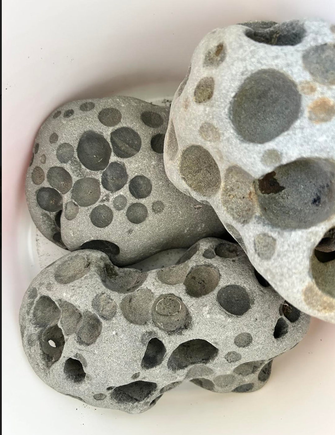 Ocean Holey Rocks - Etsy