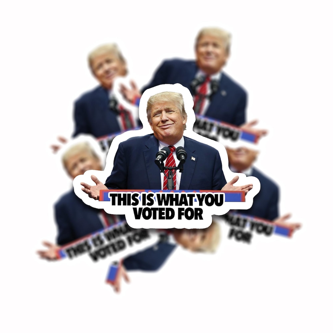 Dozen "this is What You Voted For" Sticker | Anti Trump | Political ...